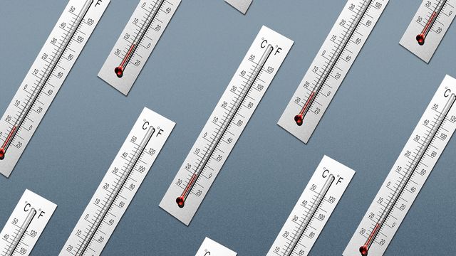 Lineage preps the year's largest IPO