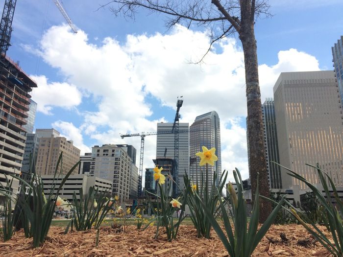 B-Cycles are sorely underutilized, so here are some routes to explore ...