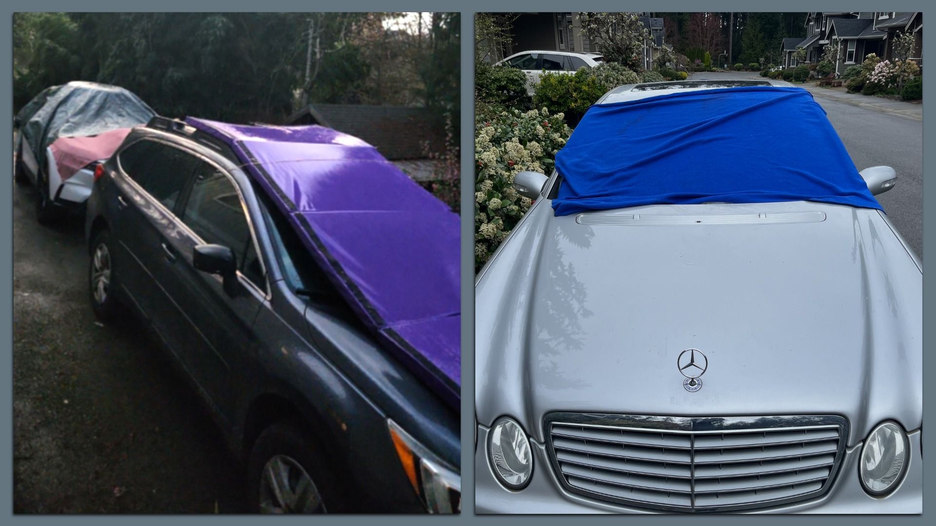 No hail or twisters, just memes, after Seattle storm forecast - Axios ...