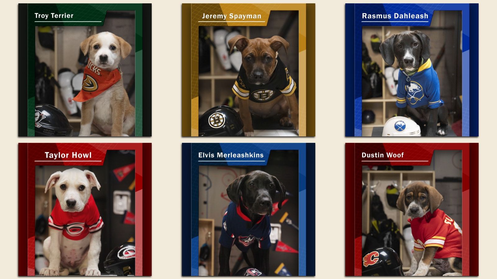 Dozens of cute puppies to face off in the NHL's "Stanley Pup"