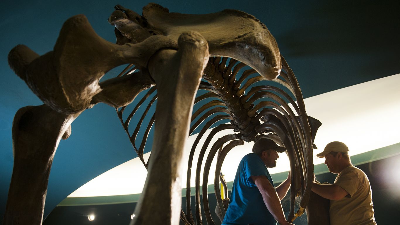 Colossal unveils $60 million funding to restore threatened, vanished ...