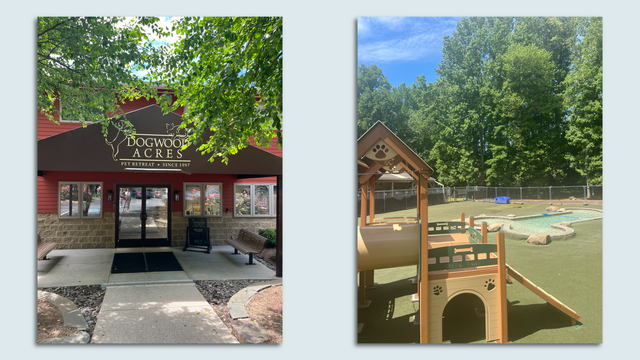 Dog boarding near DC: Dogwood Acres Pet Retreat - Axios Washington D.C.