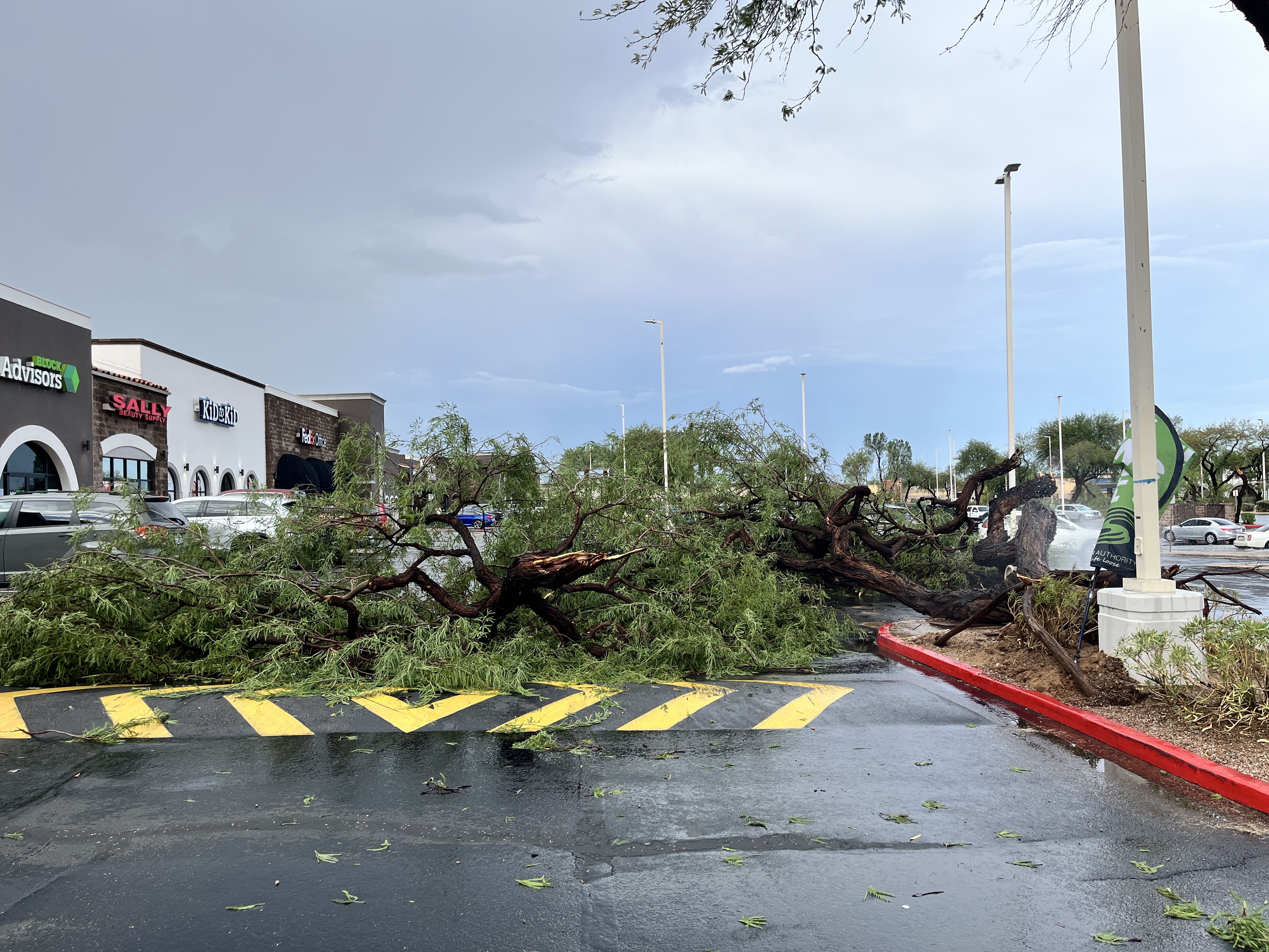 Phoenix microbursts cause tornado-like damage - Axios Phoenix