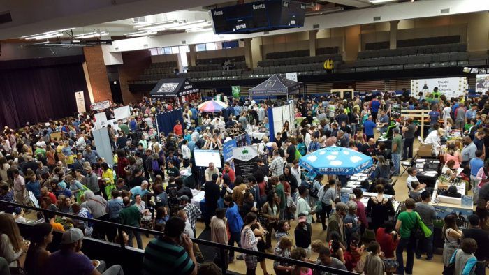 20 Charlotte-area spring festivals to put on your calendar now - Axios ...
