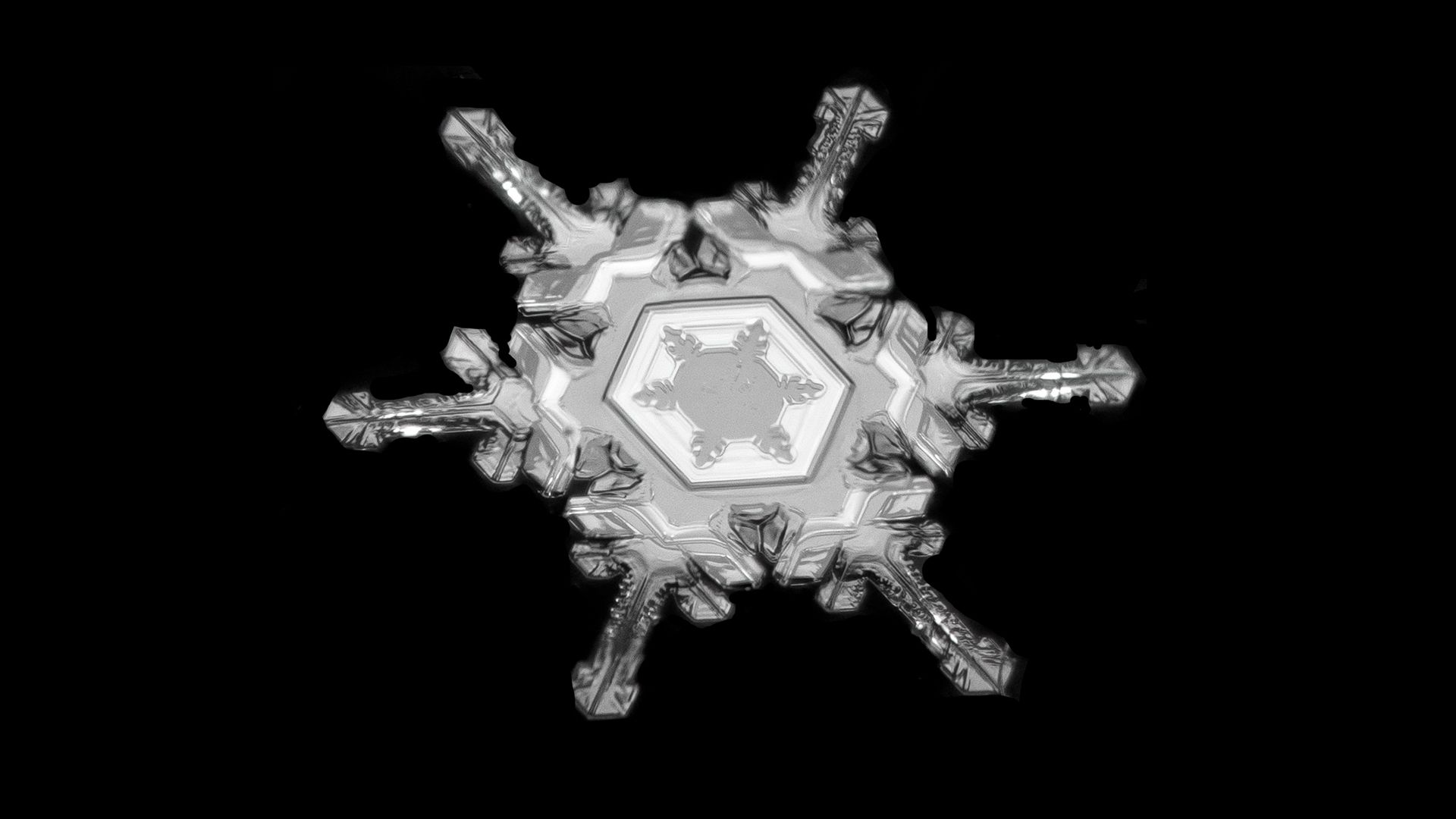 Colorado doctor Jason Persoff captures close-up photos of snowflakes ...