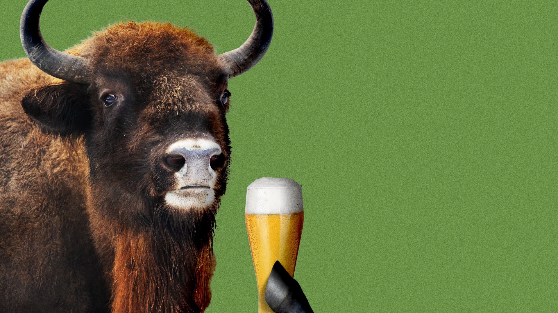 Mile Highlights: Tivoli Brewing may reopen - Axios Denver