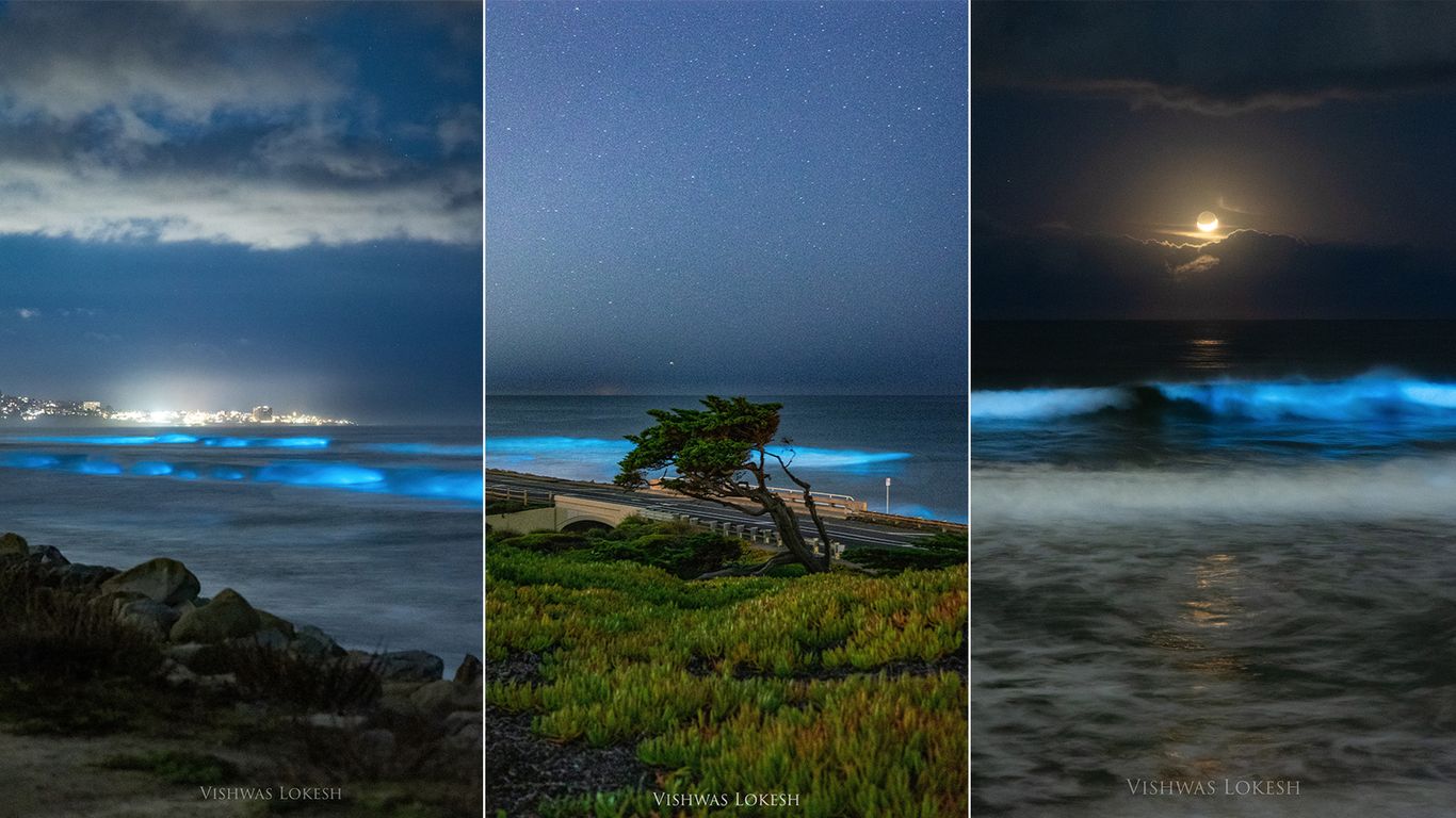 Photos: The Pacific Ocean's electric blue waves - Axios San Diego