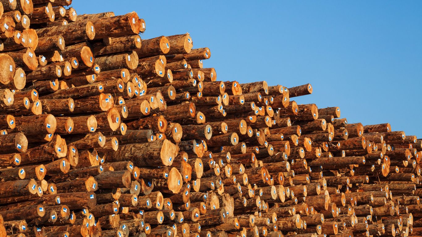 Oregon counties face budget squeeze as timber revenue rule changes ...