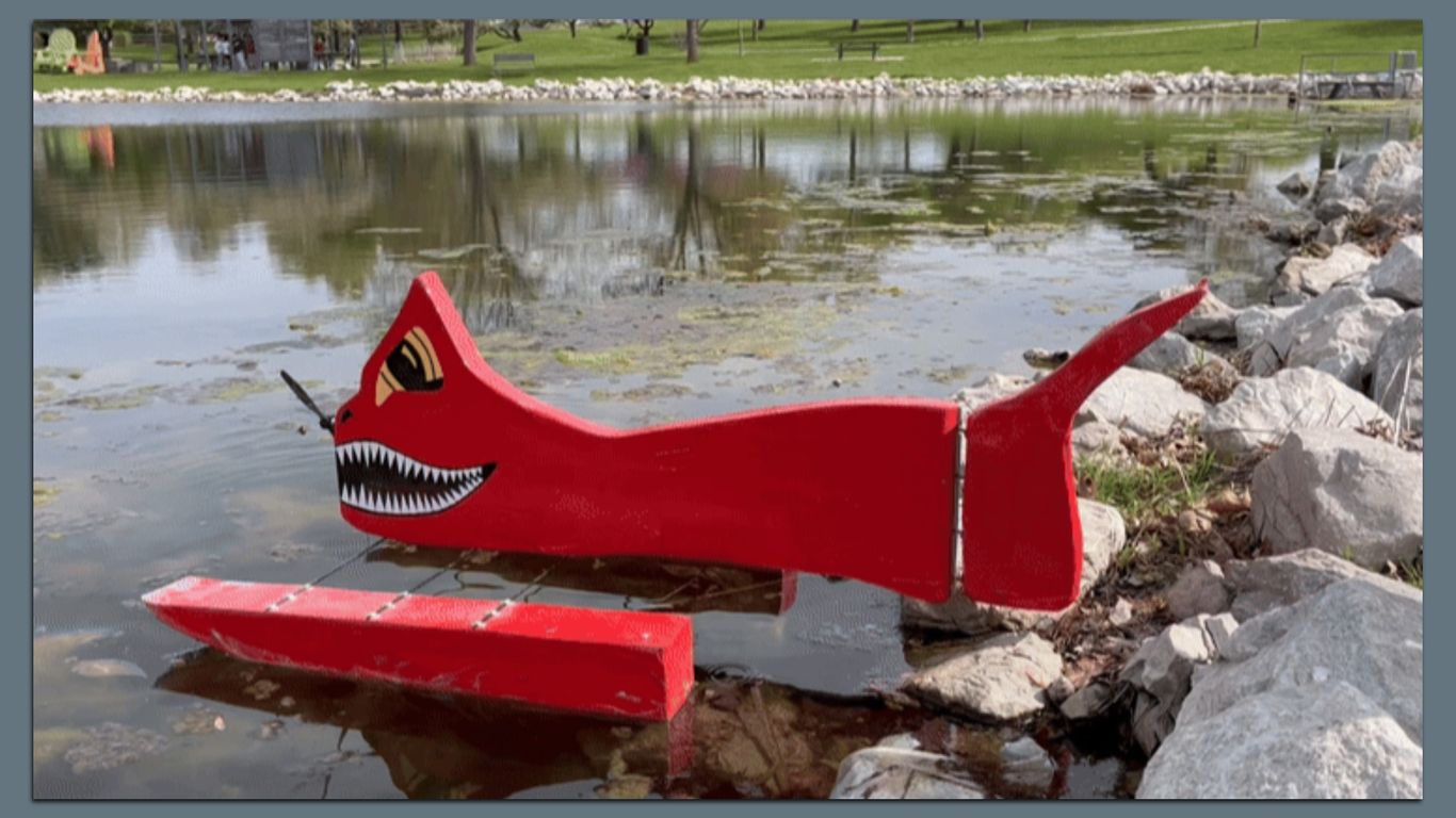 Meet Urbandale's unique goose chaser - Axios Des Moines