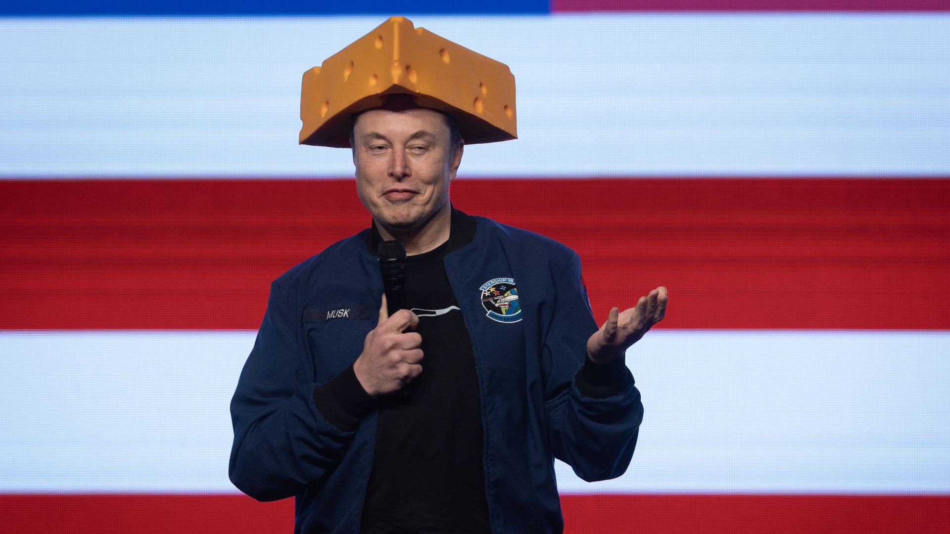 Elon Musk's losing streak: Tesla sales plummet, Wisconsin votes Democratic