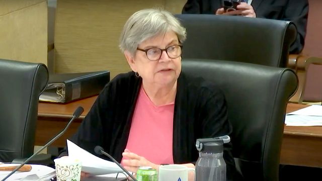 "No new taxes:" Minnesota Senate tax chair vows to block increases this ...