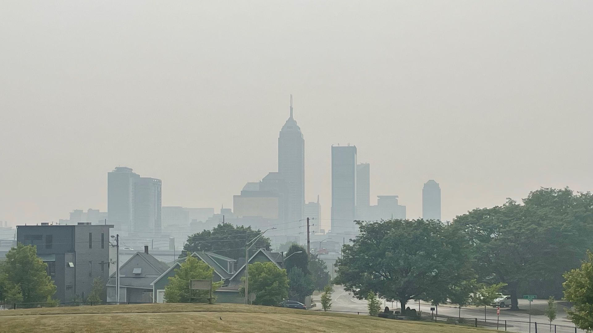 How to keep pets safe when there's unhealthy air quality - Axios ...