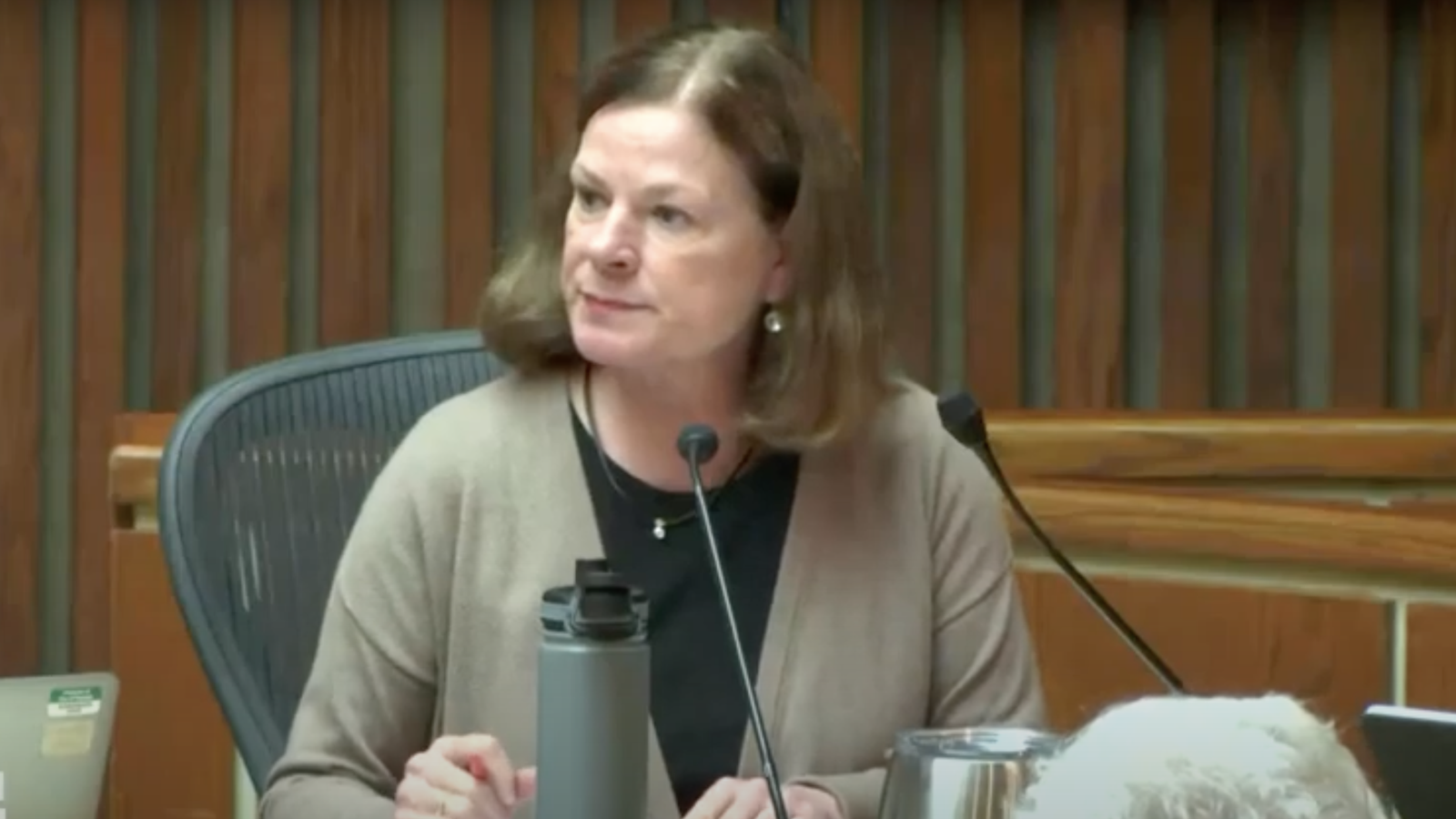 Wake County Dems rebuff Mayor Mary-Ann Baldwin - Axios Raleigh