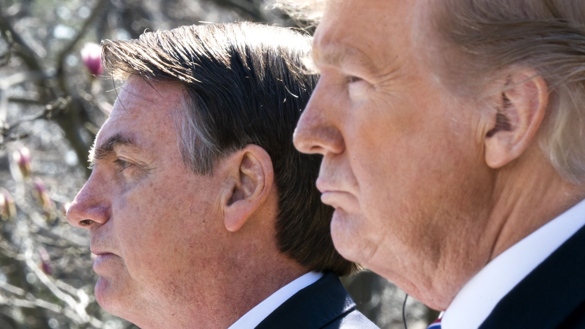 Trump targets "witch hunts" against Bolsonaro and other global allies