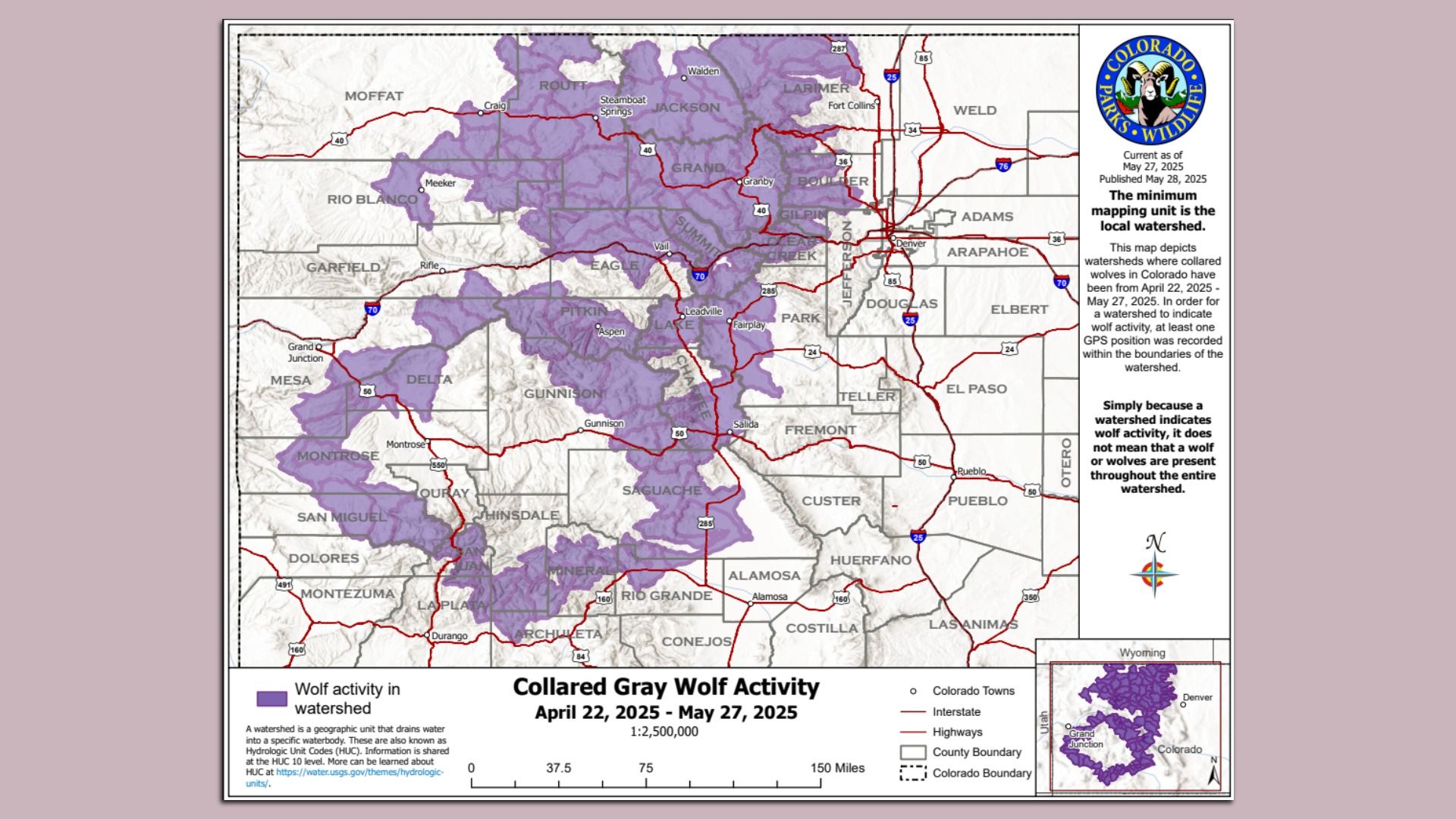 New wolf pups, mounting costs and rising tensions in Colorado - Axios ...