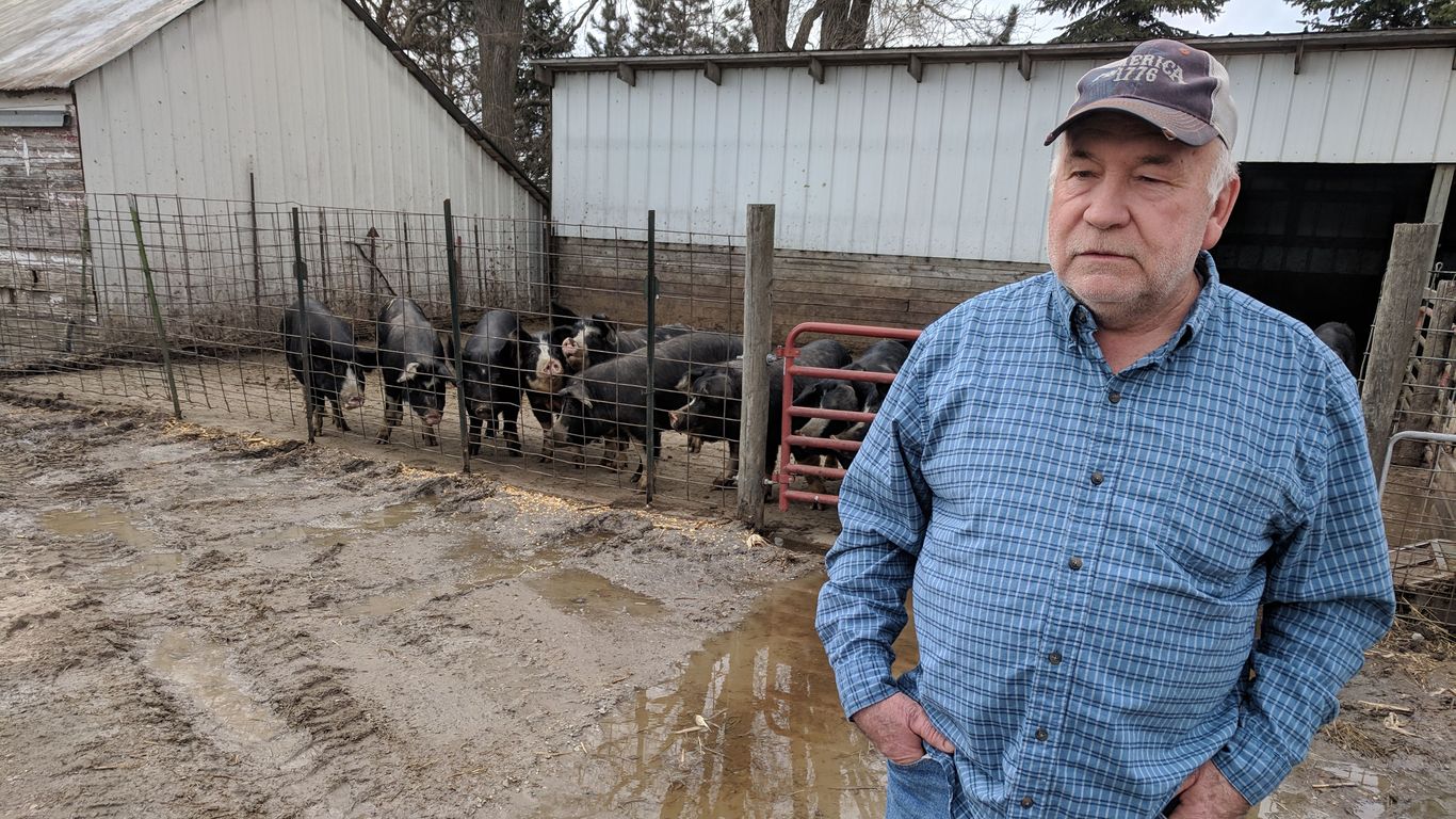 Farm bankruptcies shed new light on perils of Big Agriculture