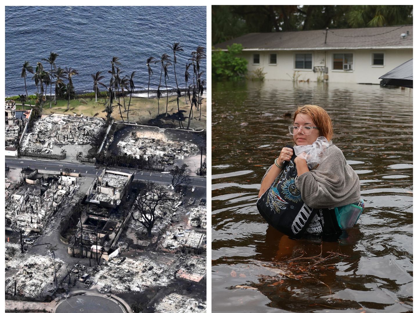 A Natural Disaster