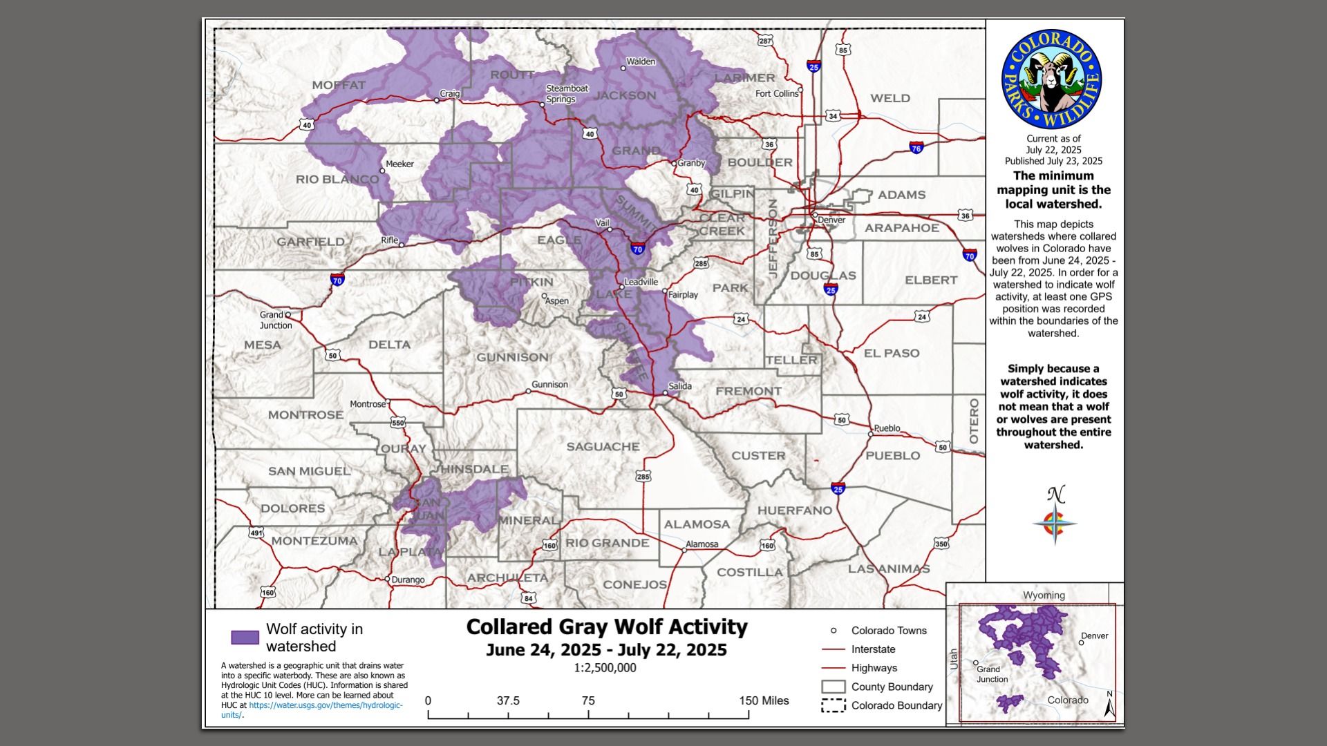 Colorado wolf activity, shown in purple, over the past month. Map ...