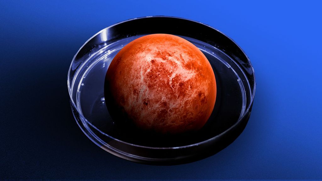 What it would mean to find life on Venus