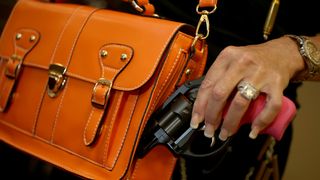 Florida GOP lawmakers propose bill to eliminate concealed carry permit