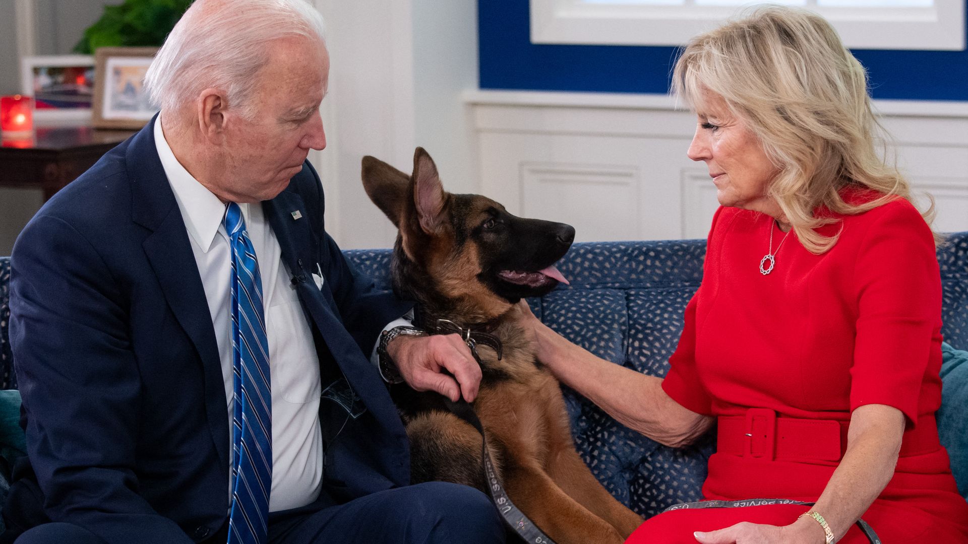 White House safety concerns raised amid Biden dog biting incidents