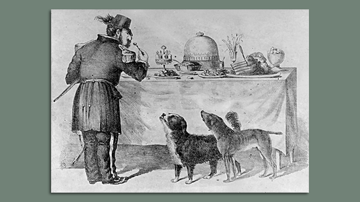 How Bummer and Lazarus became San Francisco's first celebrity dogs ...