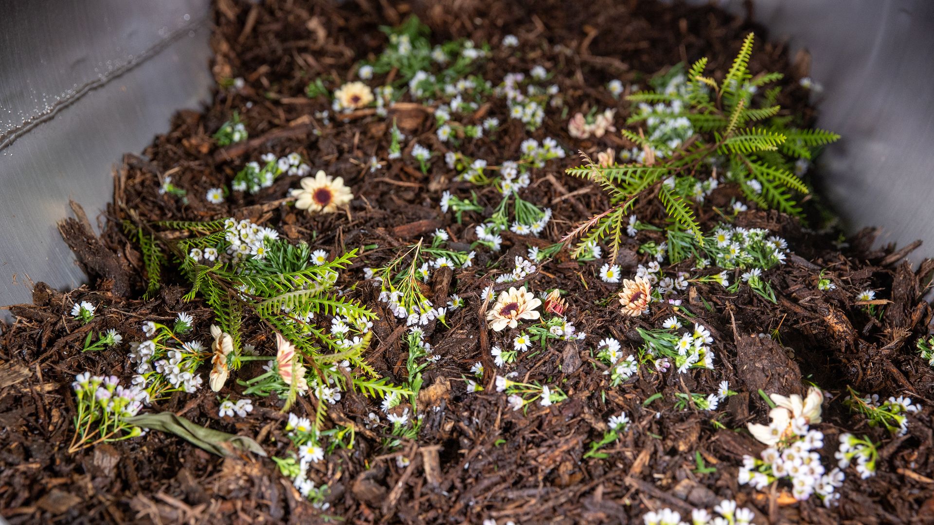 Human composting facility opens in Maryland near Washington, D.C ...