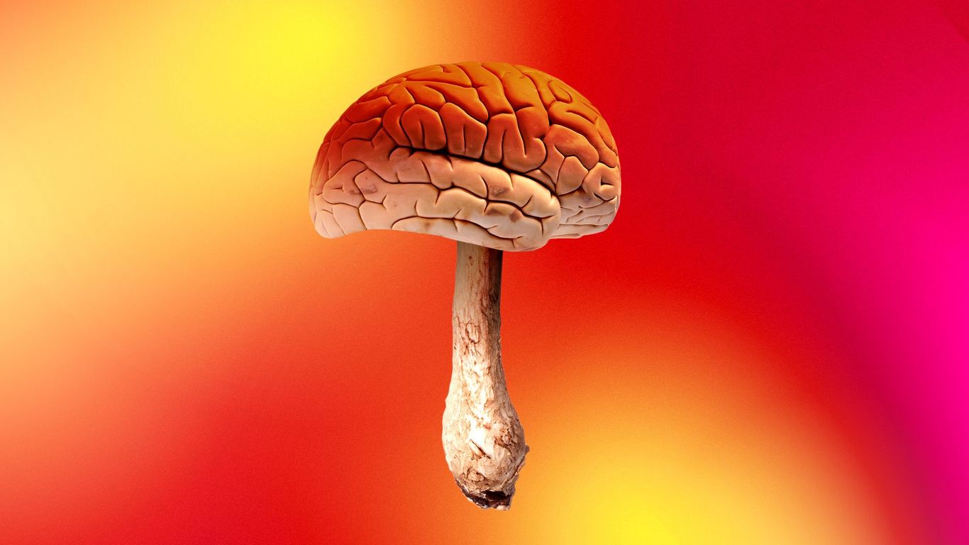 Magic mushrooms go mainstream in Colorado - Axios Denver