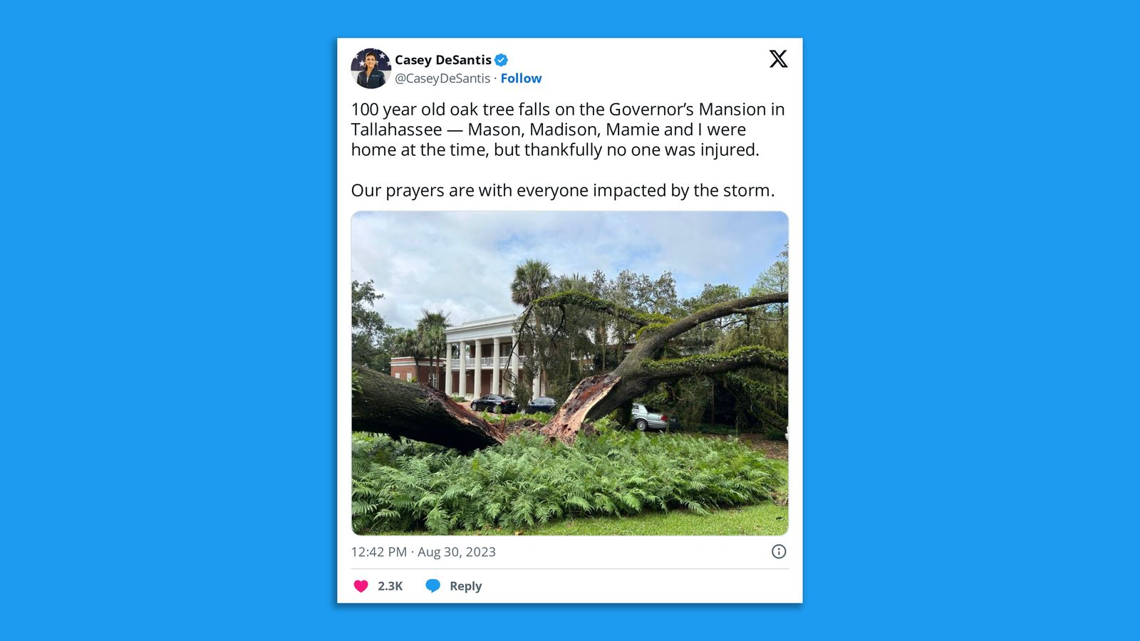 Idalia: Florida Gov. DeSantis' mansion in Tallahassee hit by oak tree ...