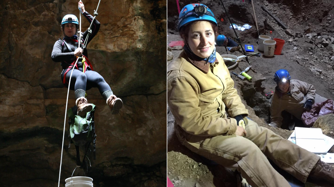 How a Des Moines professor helped de-extinct the dire wolf - Axios Des ...