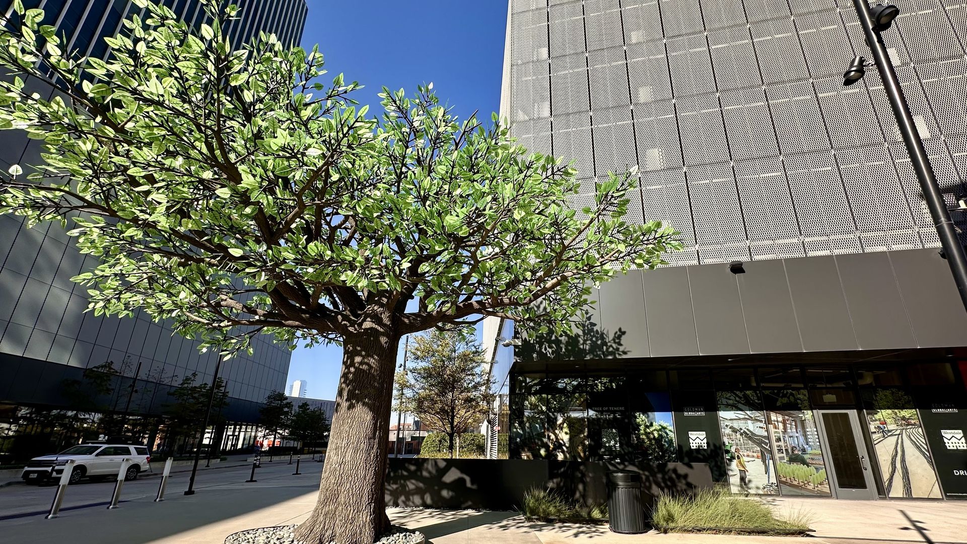 One (fake) tree to go - Axios Dallas