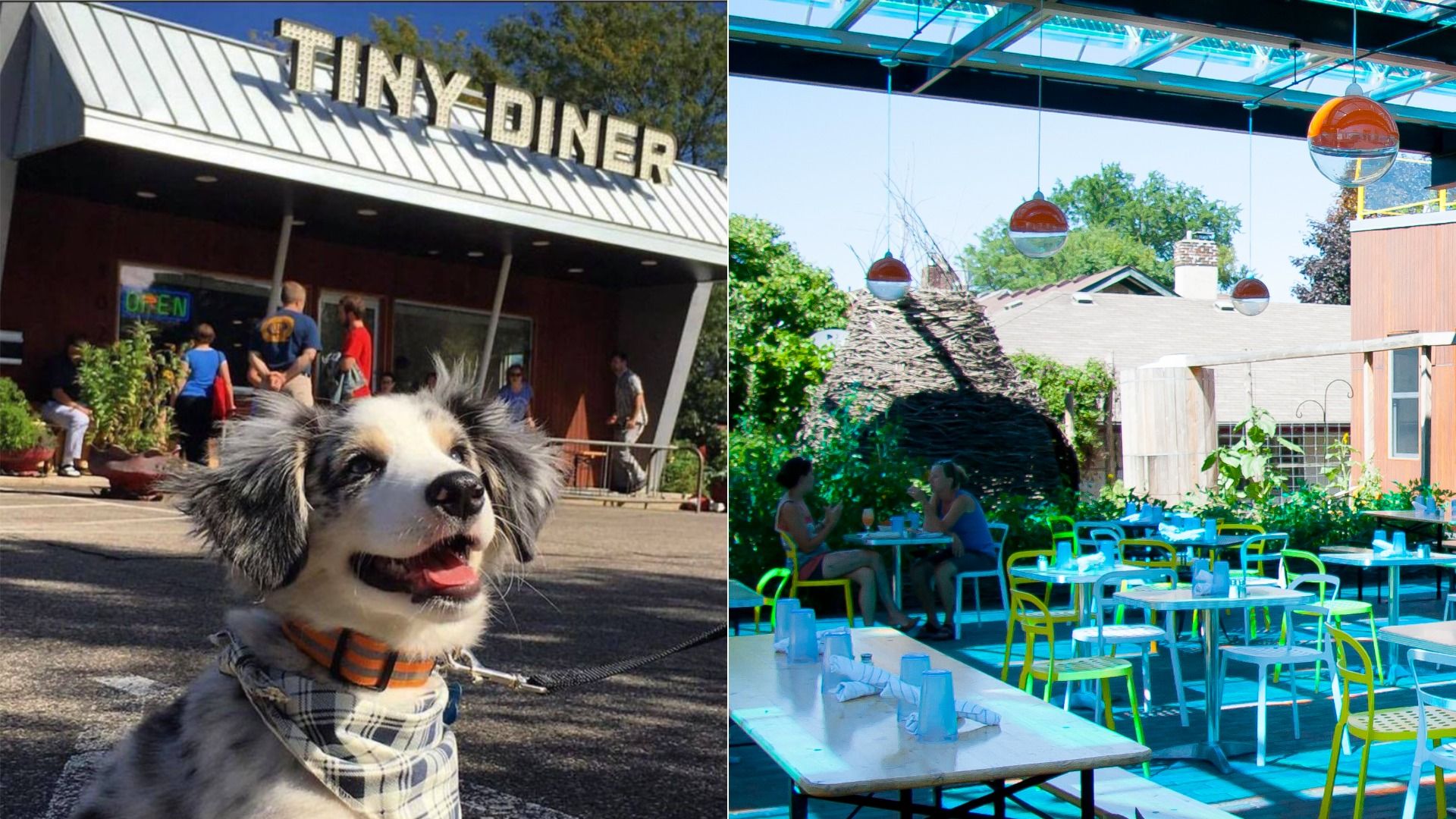 Tiny Diner reopens near 38th and Chicago - Axios Twin Cities