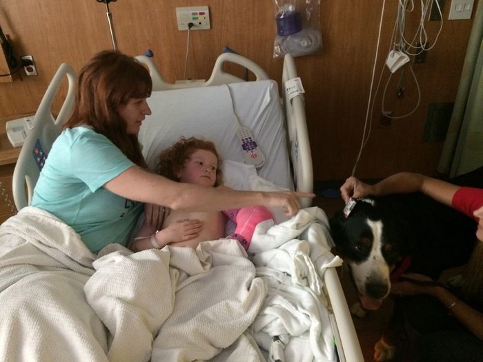 Follow Guinness, a certified therapy dog, on a visit to Levine Children ...