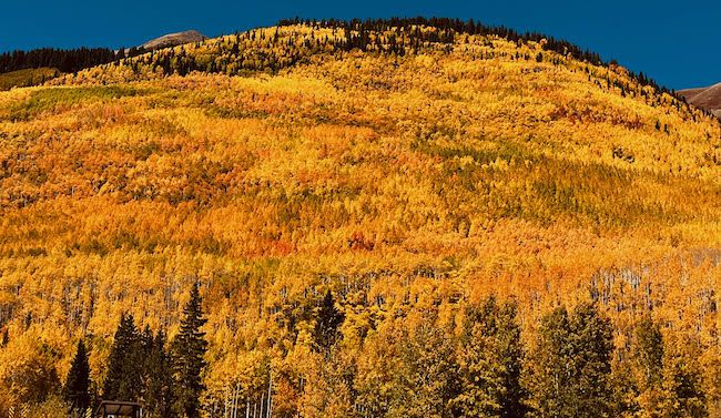 Colorado fall colors: 12 photos from across the state - Axios Denver