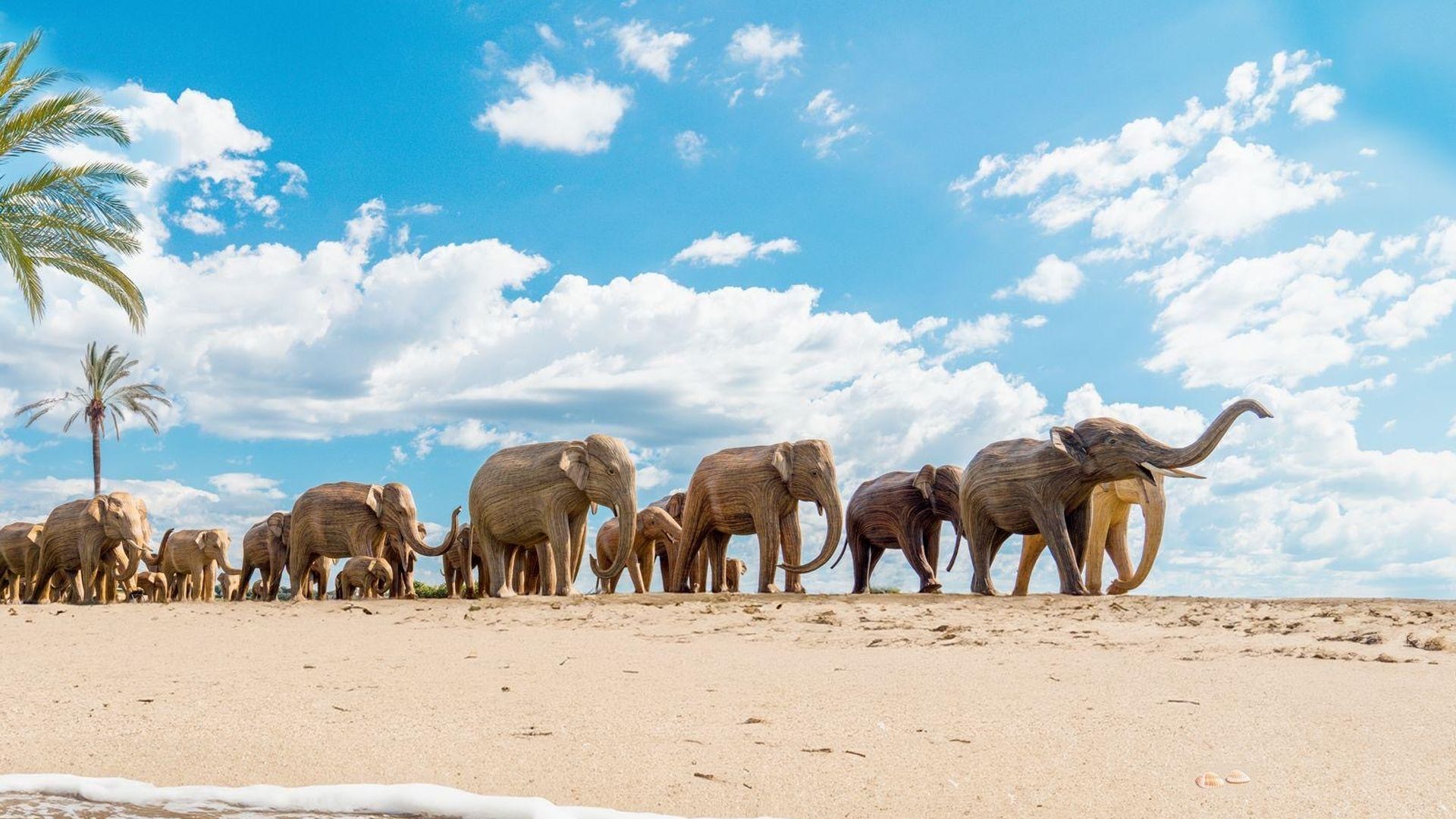 Great Elephant Migration in Miami for Art Basel - Axios Miami