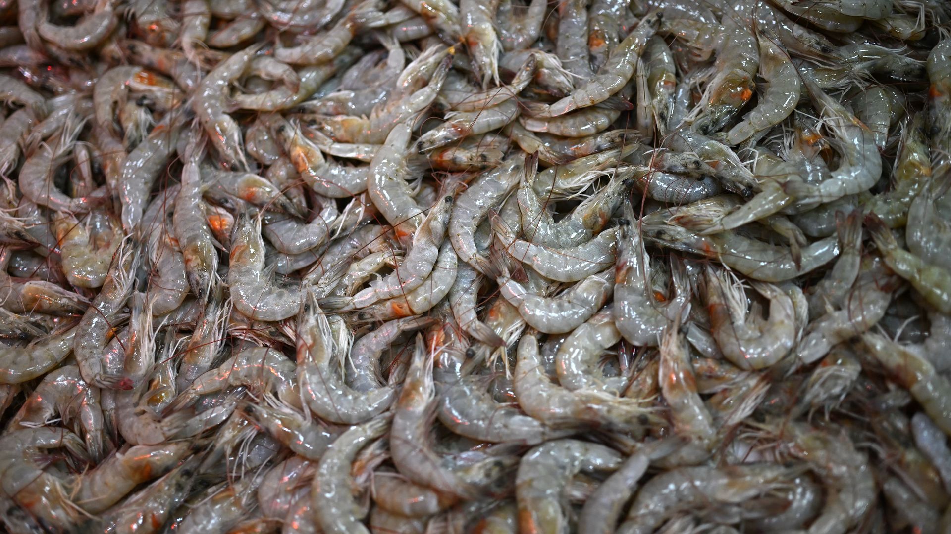 Radioactive shrimp recall: FDA warns against these Walmart brands