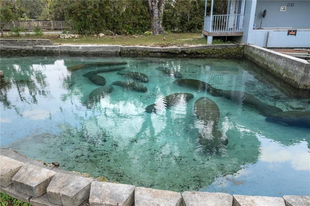$3.3M manatee hangout - Axios Tampa Bay