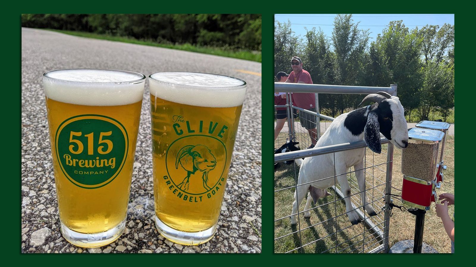 Des Moines official wants the city's own Clive Greenbelt Goats - Axios ...