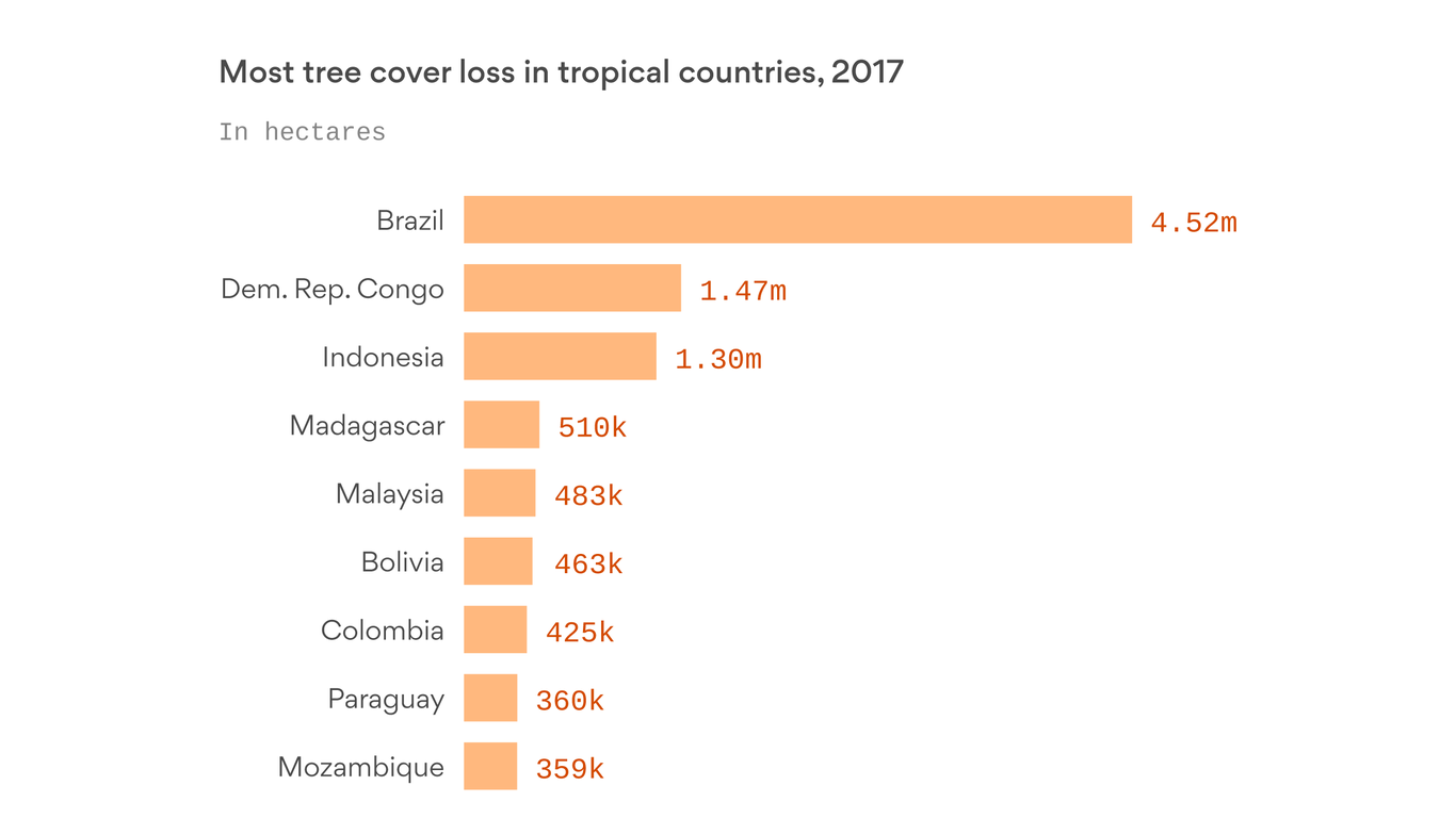 Global tree cover loss spiked in 2017