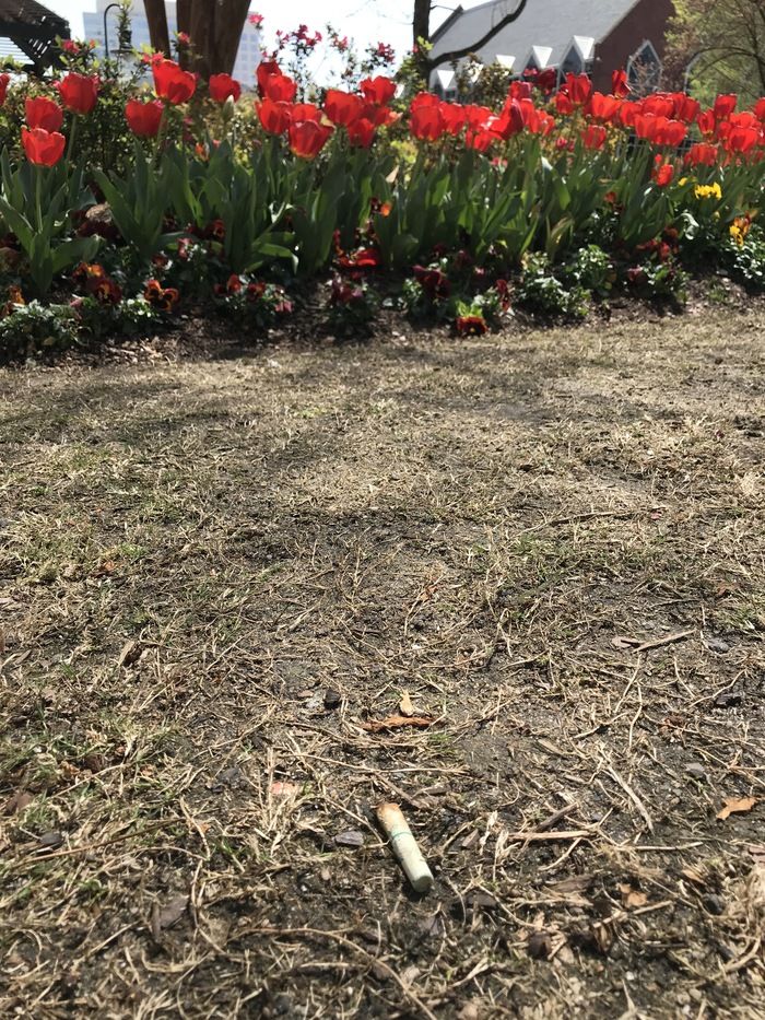 The Green has become Uptown’s smoking den - Axios Charlotte