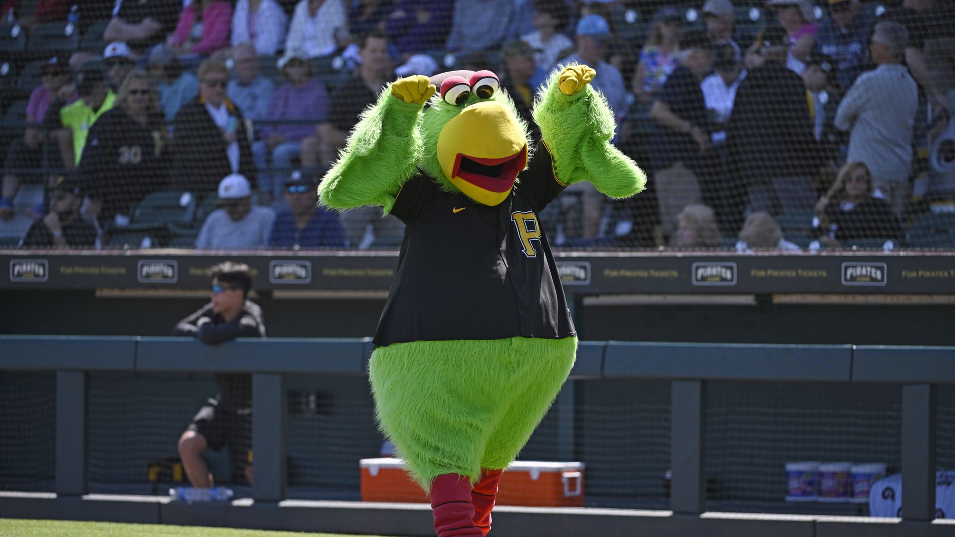 Vote for Pittsburgh's creepiest mascot - Axios Pittsburgh