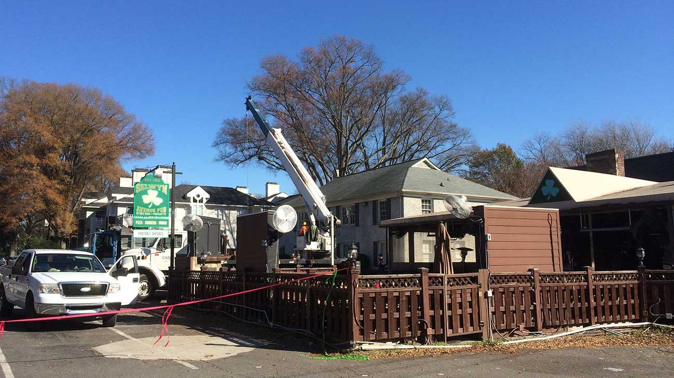 Sad news: Massive tree at Selwyn Pub has been chopped down (6 Photos ...