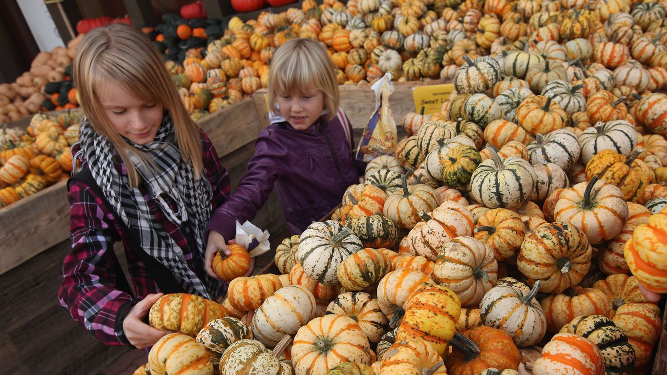 7 things to do in Cleveland during fall: Festivals, Parades, and more ...