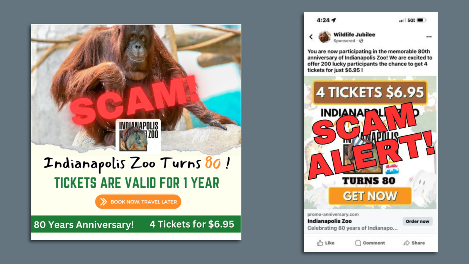Indianapolis Zoo scam warning - Axios Indianapolis