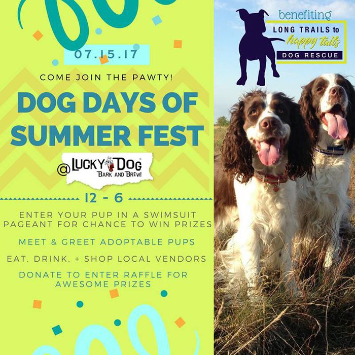 Mark the calendar and grab the leash: 5 must-do dog-centered events in ...