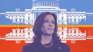 2024 election scenario: Harris with a Republican Congress