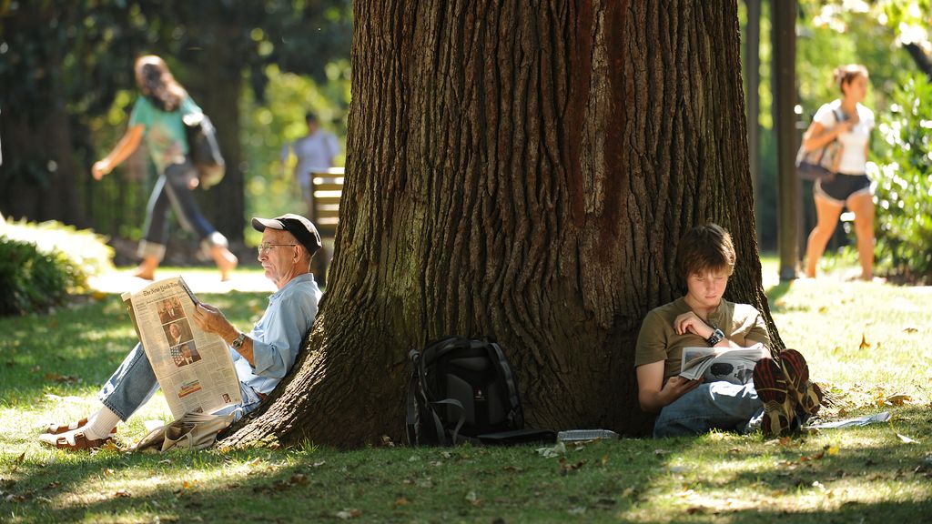 Vanderbilt University's oldest tree meets its end - Axios Nashville