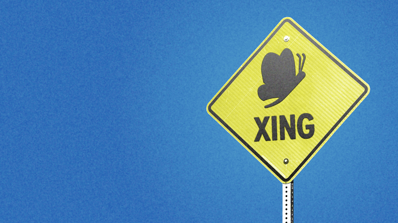 Texas scientists test how to protect migrating monarchs from death ...