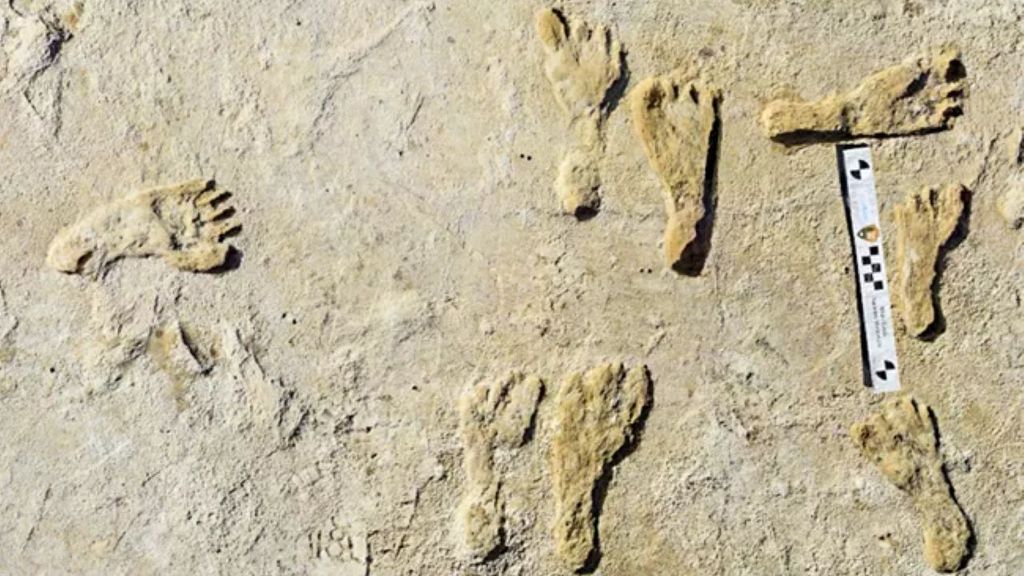 Study: Ancient footprints alter timeline of humans' arrival in North ...