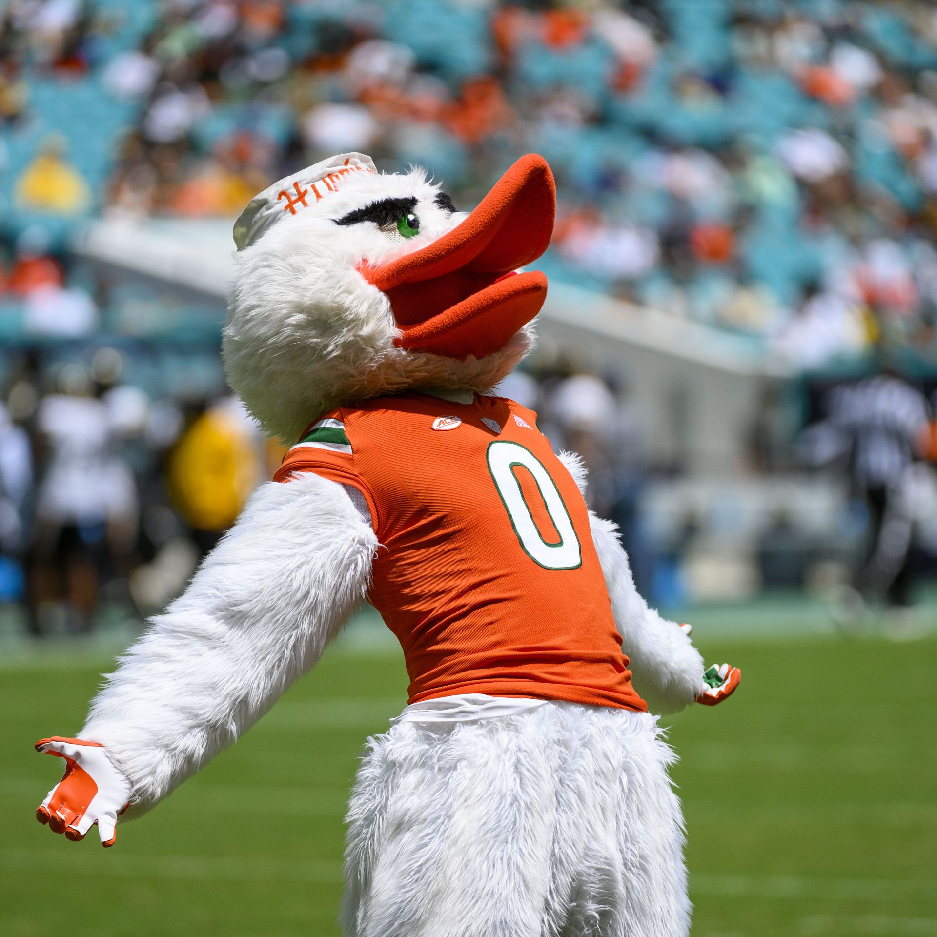 Miami Hurricanes Bird Logo